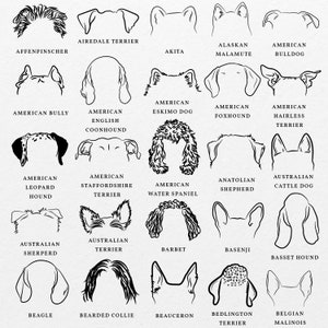 hunderasse-ohren-illustration-svg-png-bundle-handgezeichnete