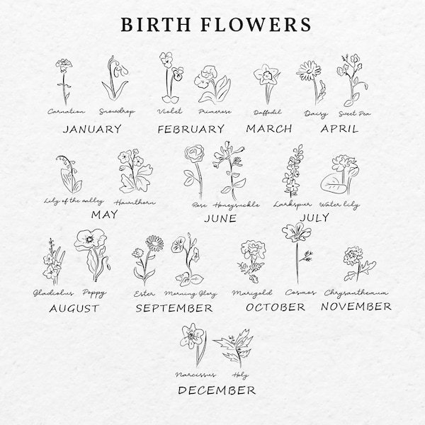 Birth Flower Drawing Svg - Etsy