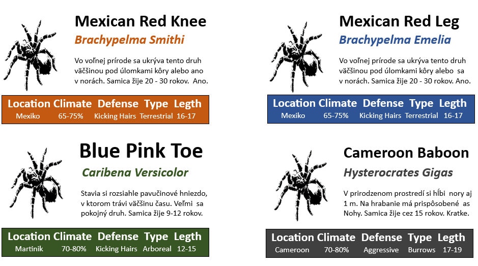 Arachnid Spider Enclosure Labels Template - Fully Editable Microsoft ...