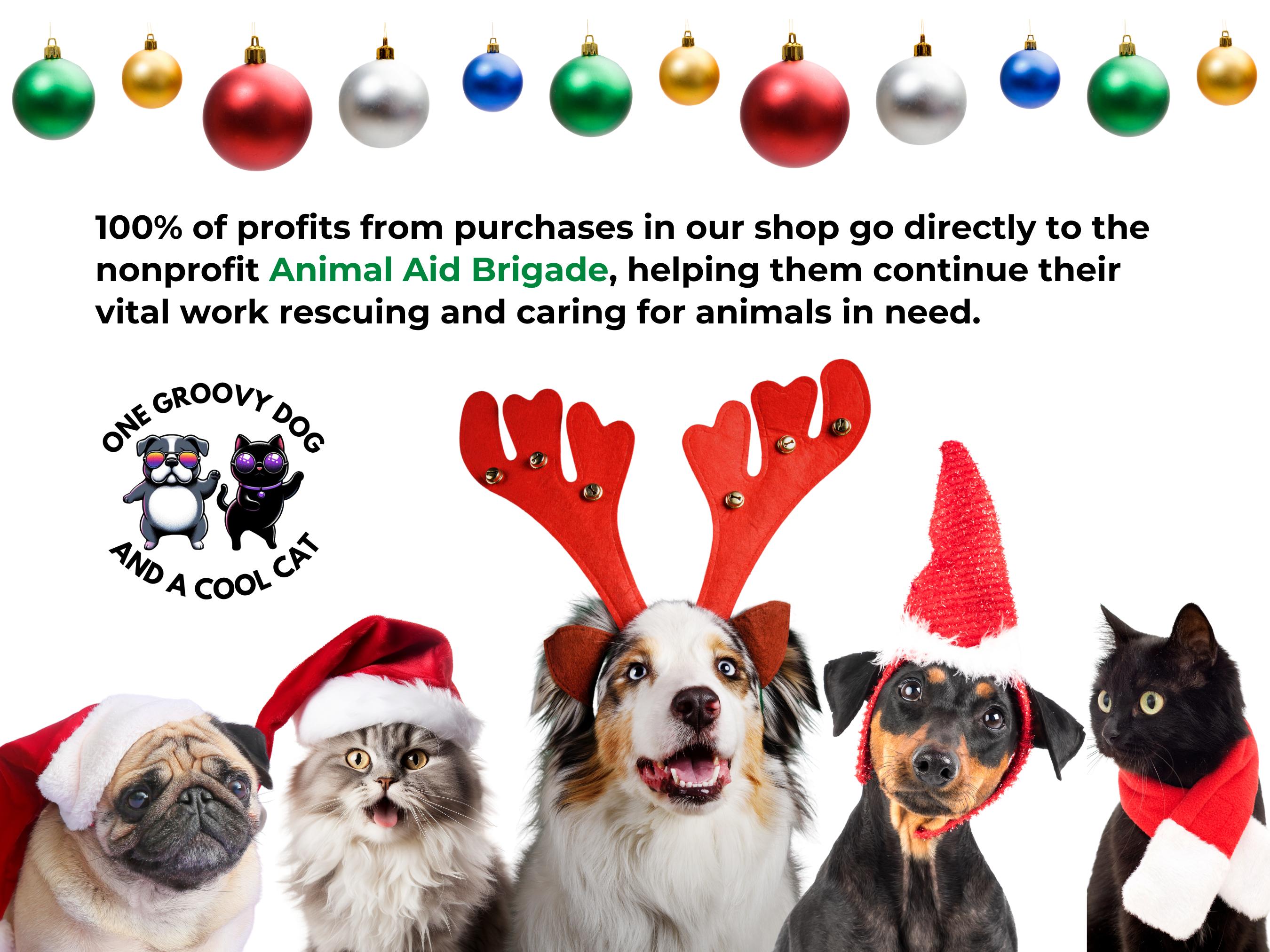 Charming Woman and Cat Christmas Card Set, Whimsical Holiday Stationery ...