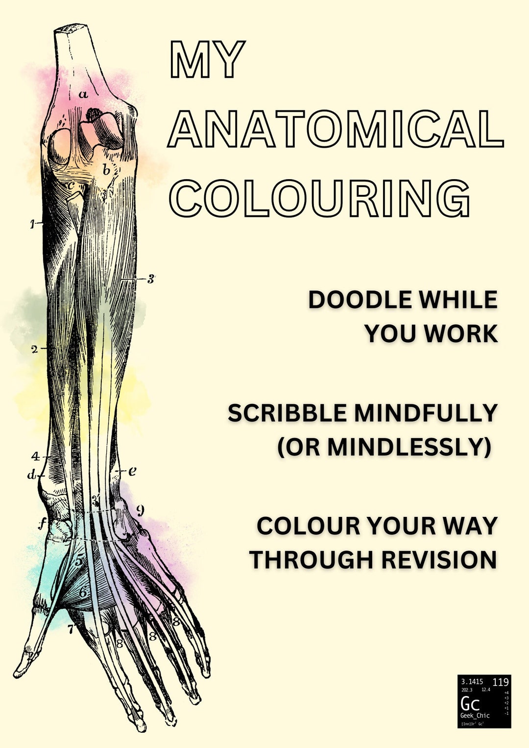 ANATOMICAL _ COLOURING || Digital Print - Etsy