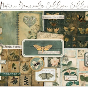 The Nature Journals Collage Collection - Grunge Style Nature Field ...