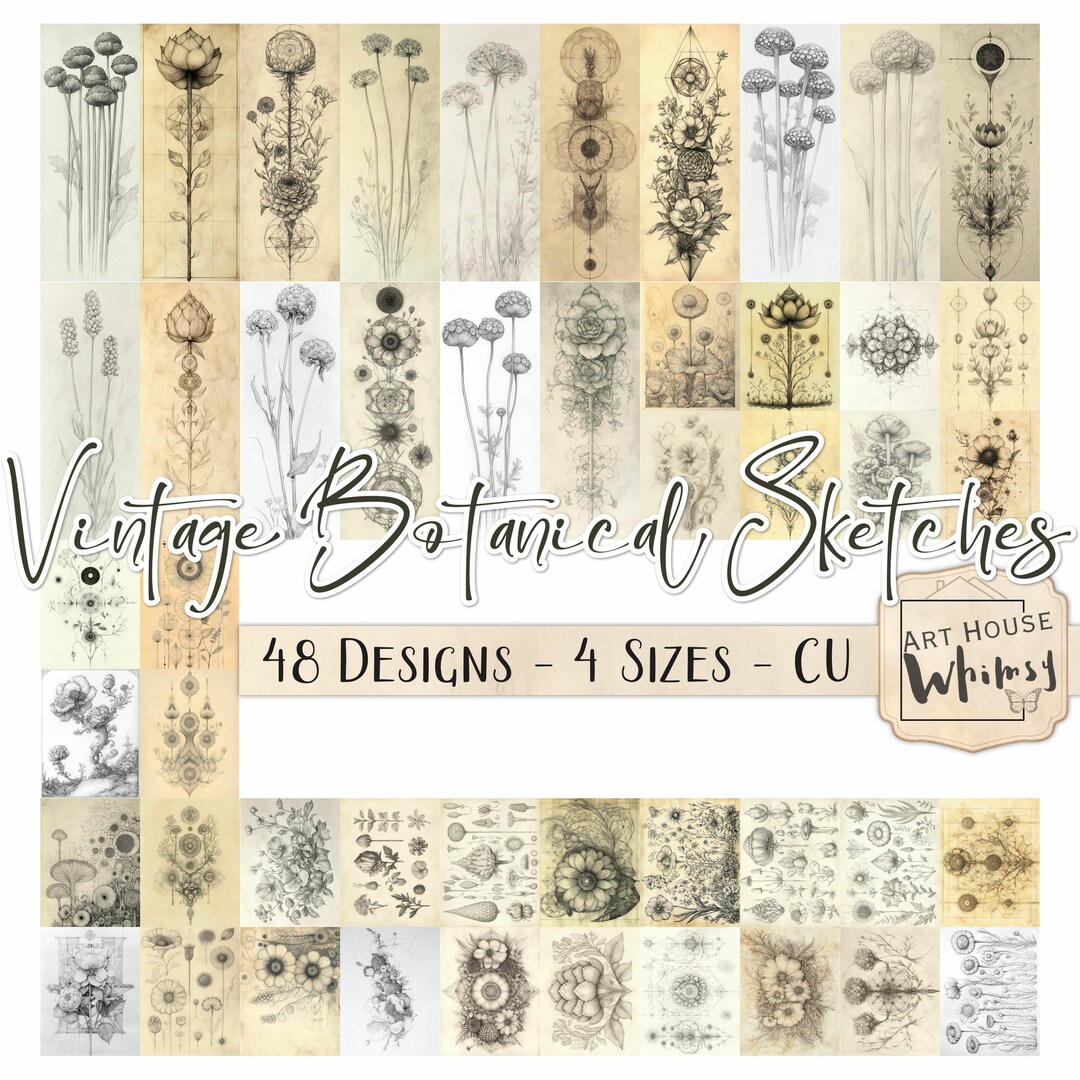 Vintage Botanical Sketches: Monochrome Art, 48 Designs (digital ...