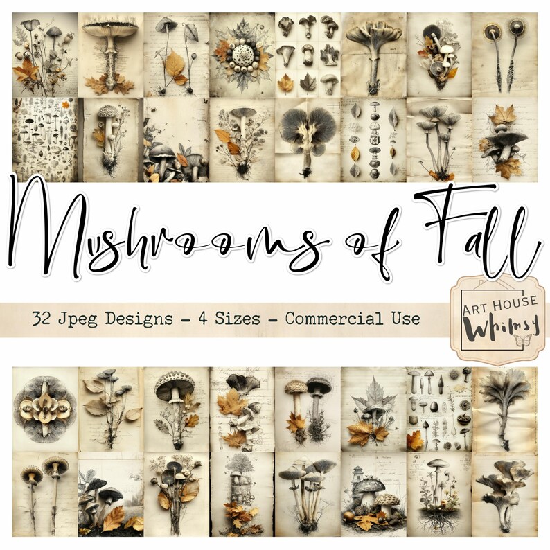 Mushrooms of Fall: 32 Autumn/fall Sketchy Fungi, 4 Sizes, CU, (digital ...