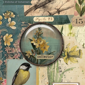 The Nature Journals Collage Collection 2: Spring Nature Collage Kit ...
