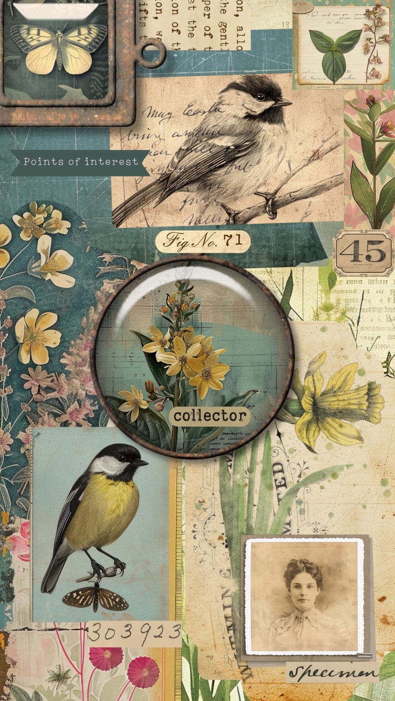 The Nature Journals Collage Collection 2: Spring Nature Collage Kit ...