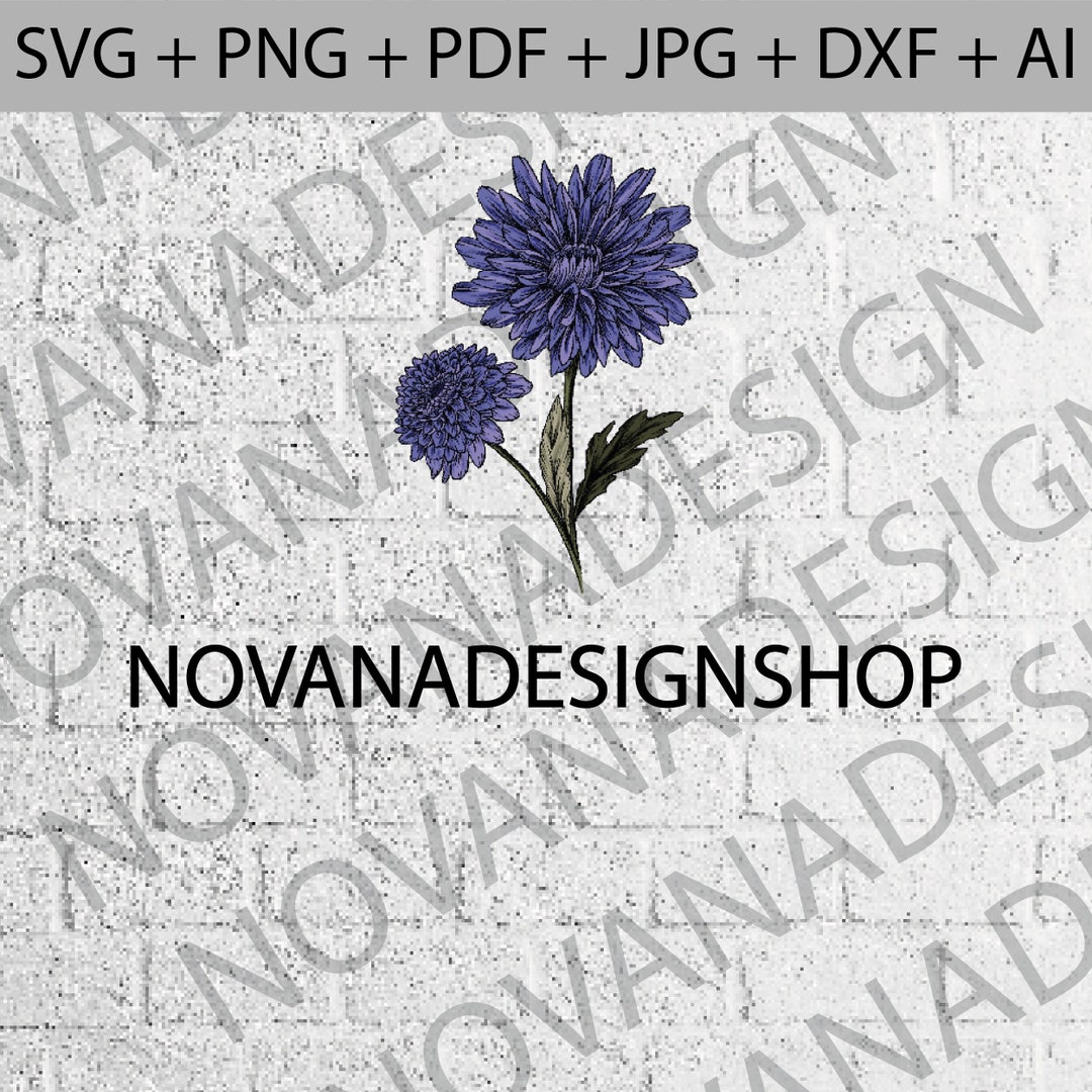 Chrysanthemum Svg November Flower Svg Birth Flower Svg - Etsy