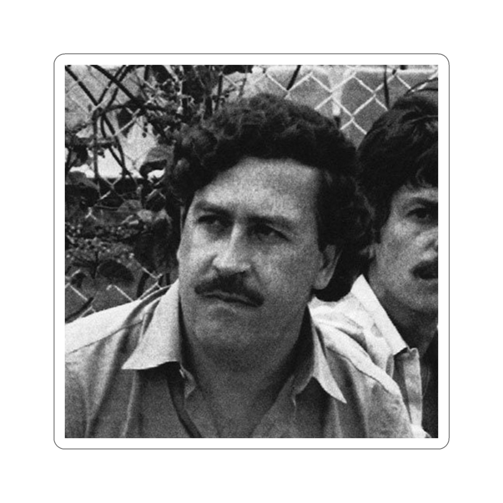 Pablo Escobar Kiss-cut Sticker 100% Vinyl Peel off Back 4 - Etsy