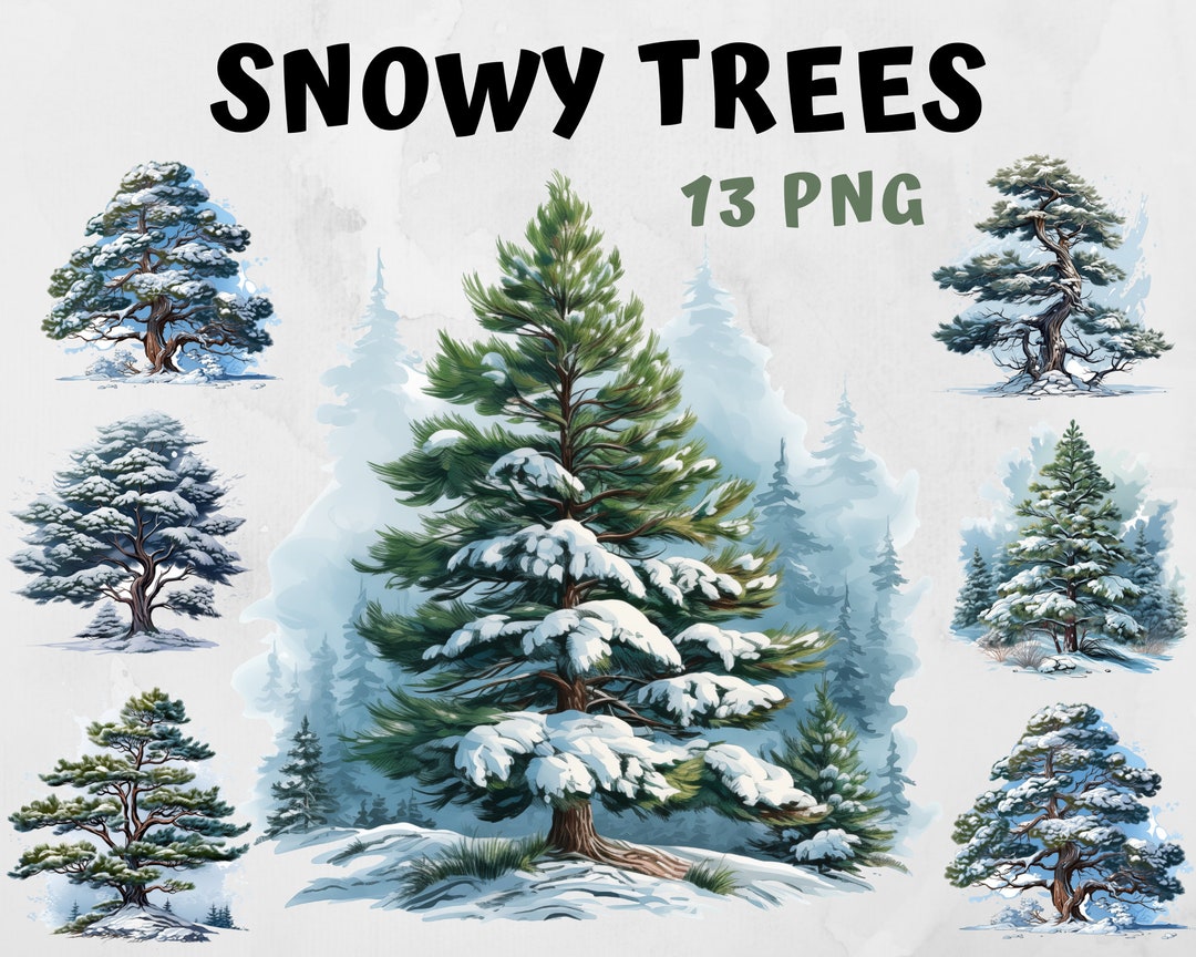 13 Watercolor Winter Trees Clipart Snowy Trees Winter Tree Clipart ...