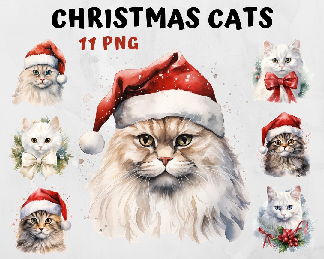 Christmas Cats Clipart 11 High Quality Pngs Festive Cat Images Card ...