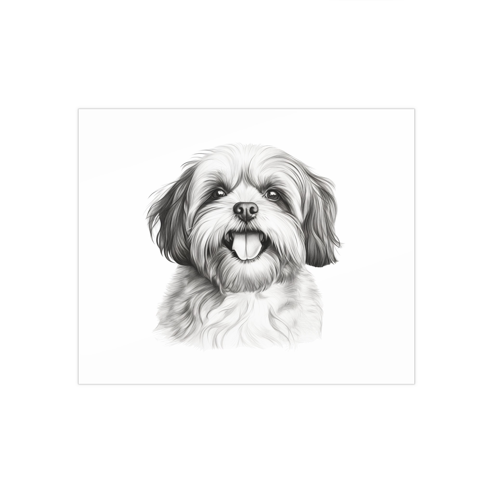 Shih Tzu Dog Sketch, Printed on Luxury Satin Posters (300gsm). - Etsy