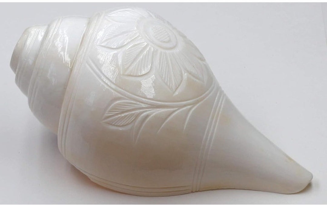 Puja Conch Shell Big Size Blowing Sankh - Etsy