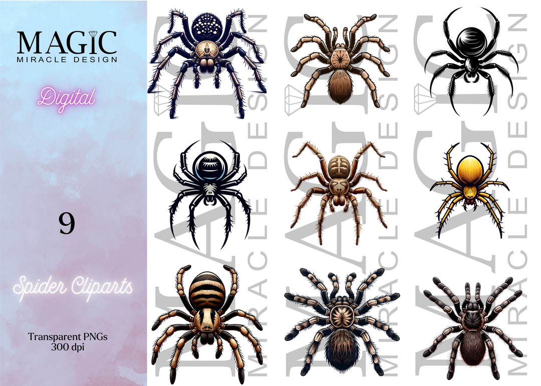 Spider Clipart Digital Download Gifts for Friends 9 High Quality ...