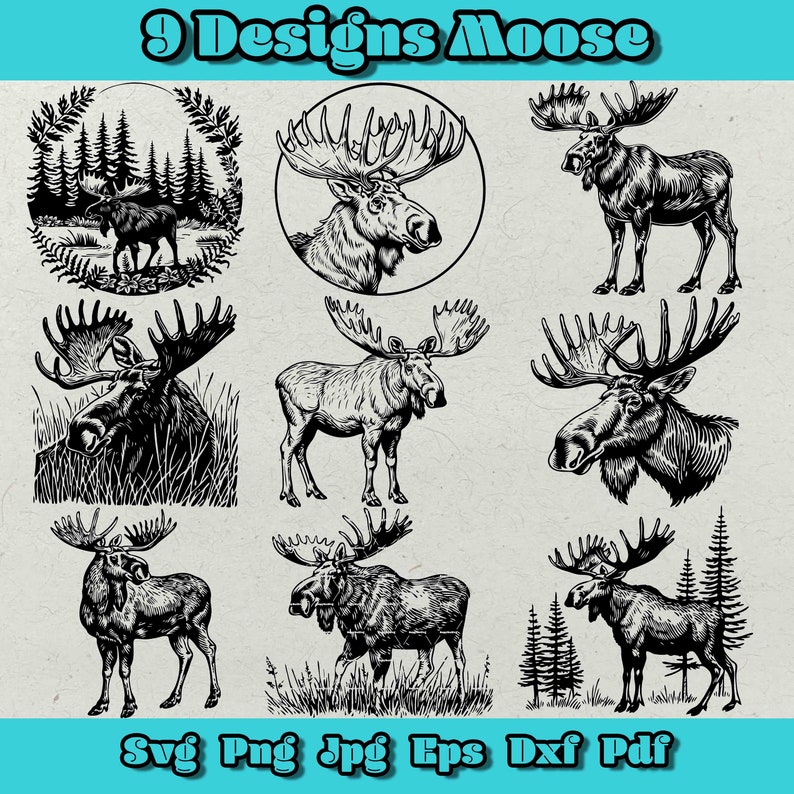 Moose Svg Bundle, Floral Moose Design, Moose Head Svg, Moose in the ...