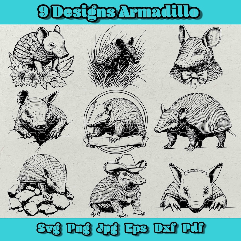 Armadillo Svg Bundle, Cute Armadillo Clipart, Wildlife Animal Png ...