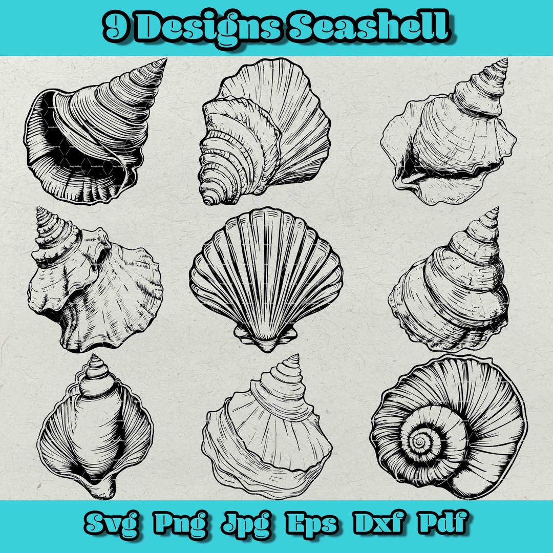 Seashell SVG Bundle, Beach Shell Clipart, Nautical Shell PNG, Ocean ...