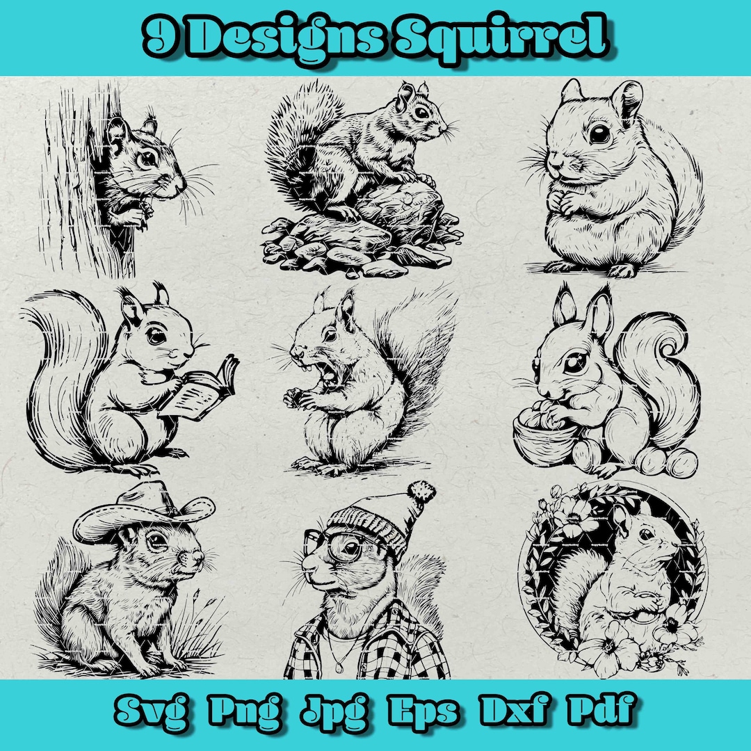 Squirrel Svg Bundle, Baby Squirrel Svg, Cute Squirrel Svg,squirrel Cowboy Hat Png,squirrel ...