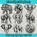 Elephant SVG Bundle, African Safari Animals Png, Walking Elephant ...
