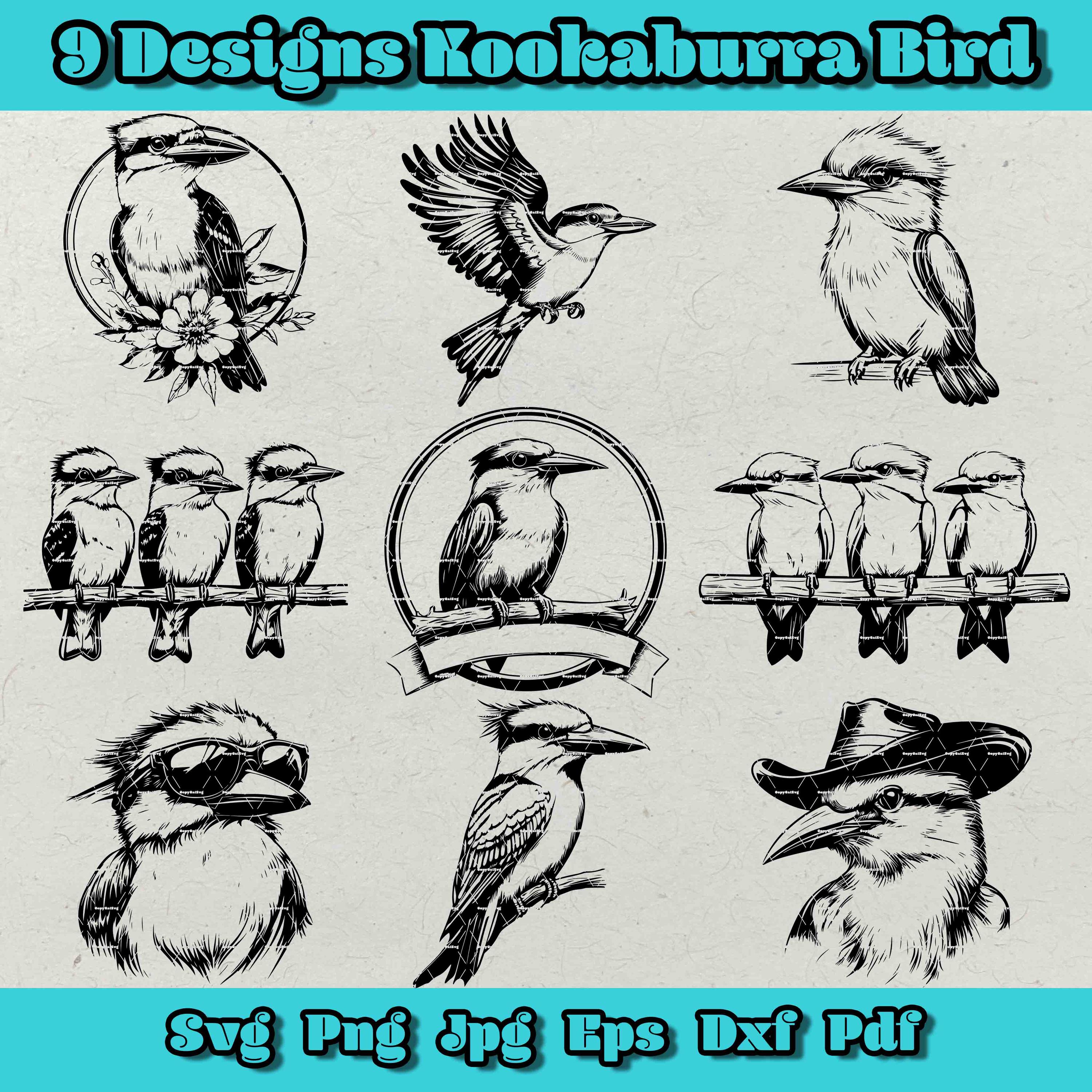 Kookaburra Bird SVG Bundle: Floral, Sunglass, Cowboy Designs - Etsy