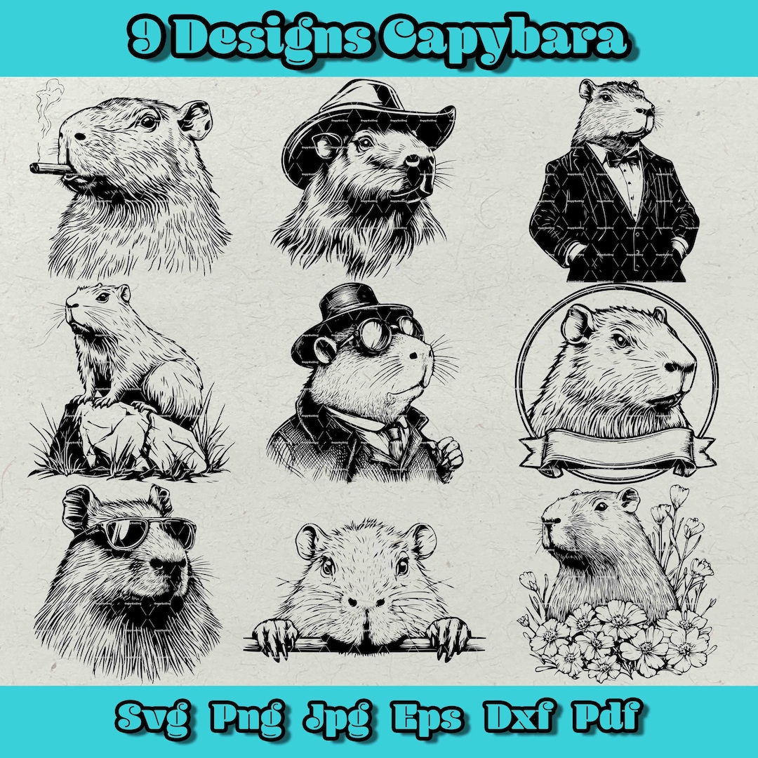 Capybara Svg Bundle, Cute Capybara Clipart, Cartoon Capybara Png, Wild ...