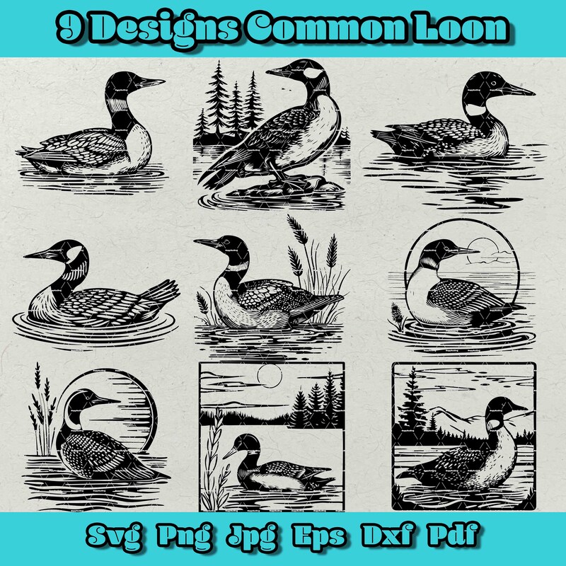 Common Loon - Etsy