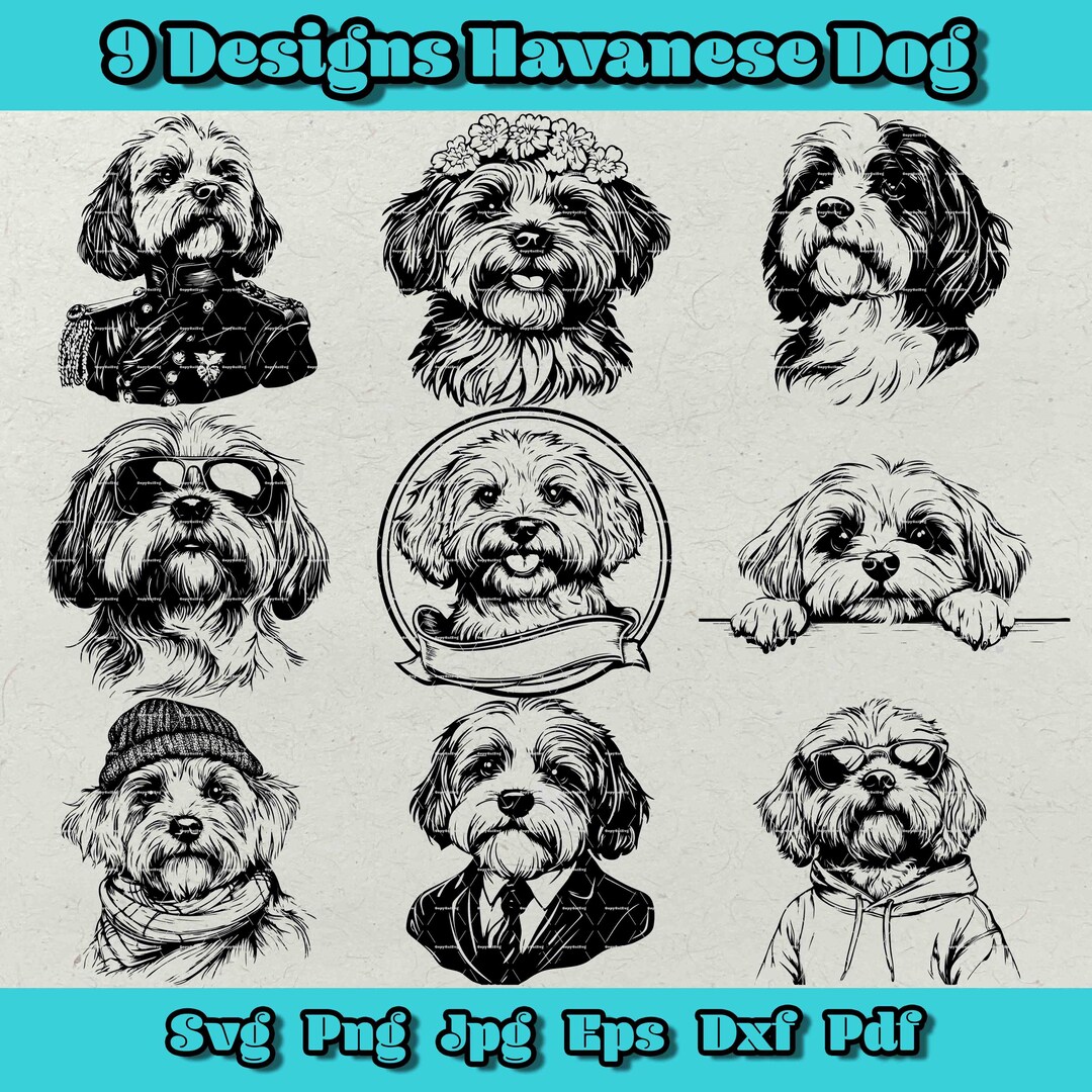 Havanese Dog SVG Bundle, Cute Havanese Png, Floral Havanese Silhouette ...
