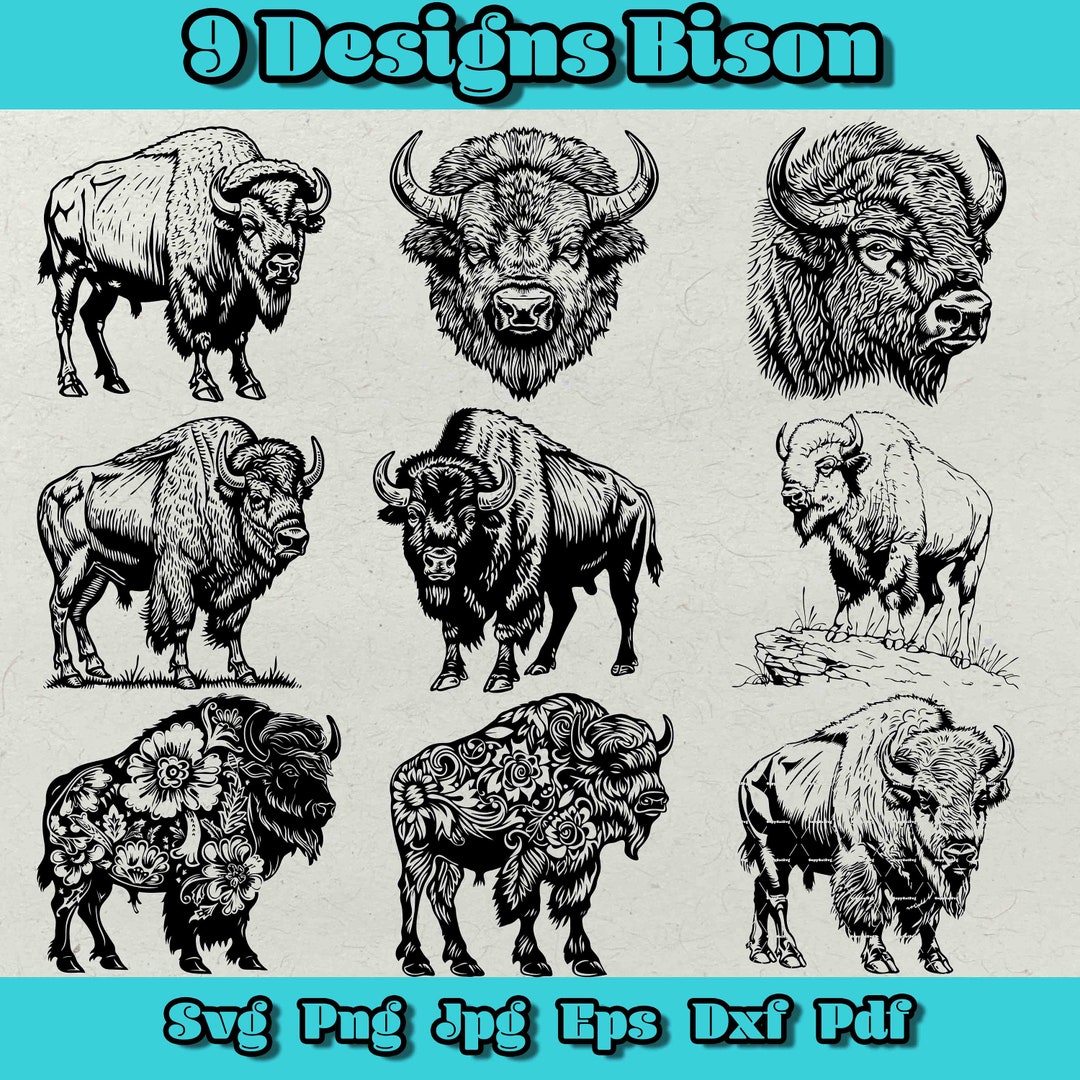 Bison Svg Bundle, Floral Bison Svg, Bison Head Svg, American Bisons Svg ...