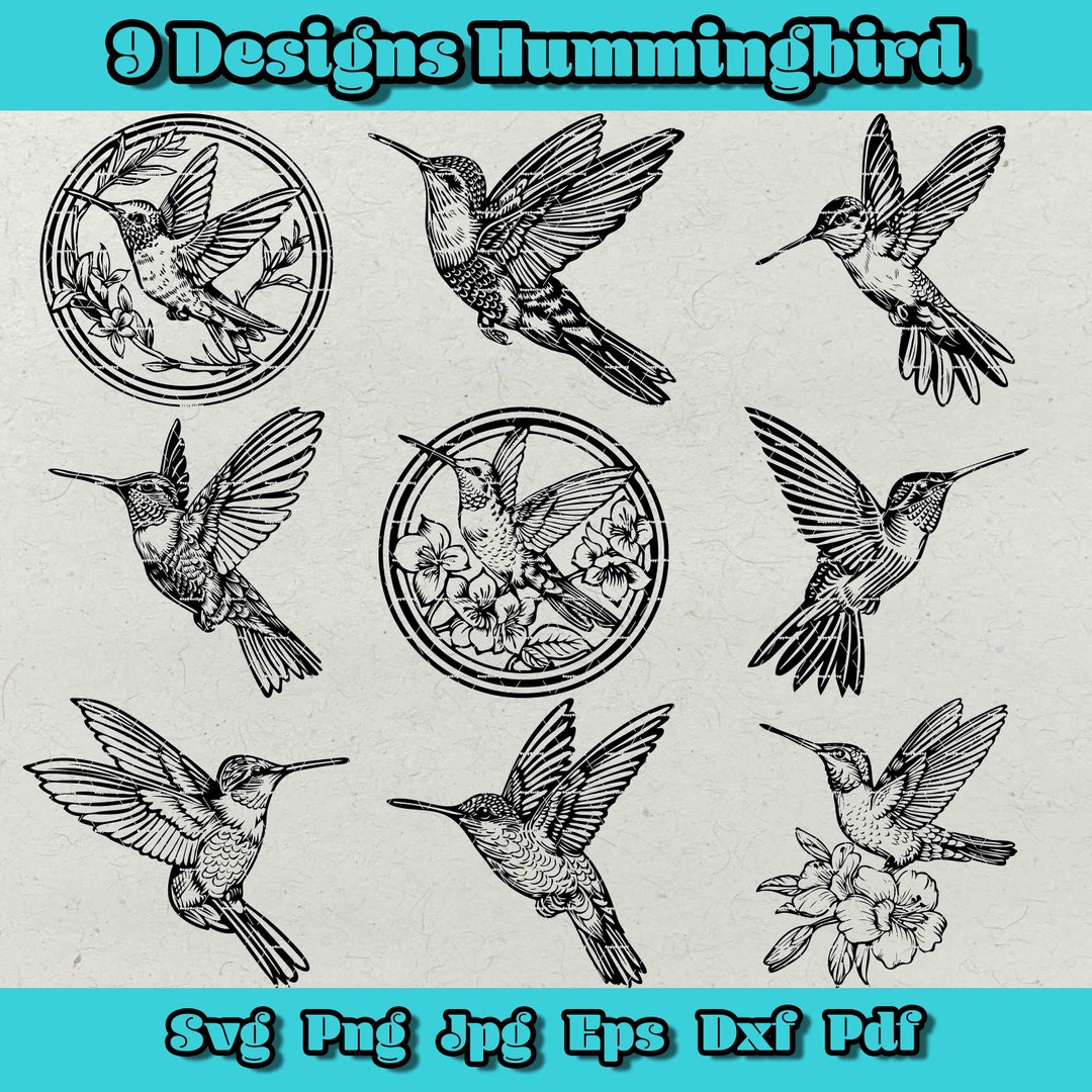 Hummingbird Svg Bundle, Hummingbird Png, Bird Svg, Floral Hummingbird ...