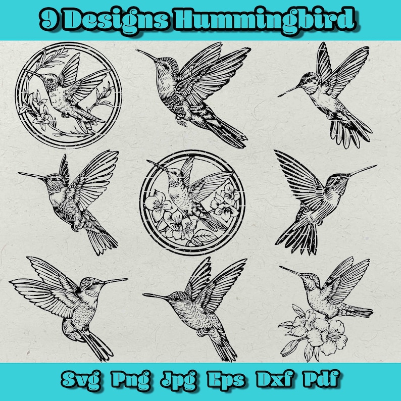 Hummingbird Svg Bundle, Hummingbird Png, Bird Svg, Floral Hummingbird ...