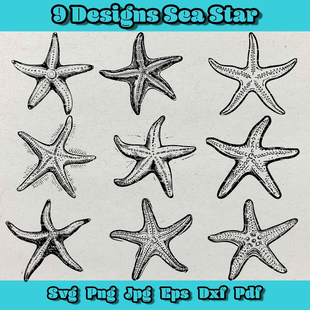 Sea Star Svg Bundle, Starfish Png, Star Fish Clipart, Sea Creature Dxf ...