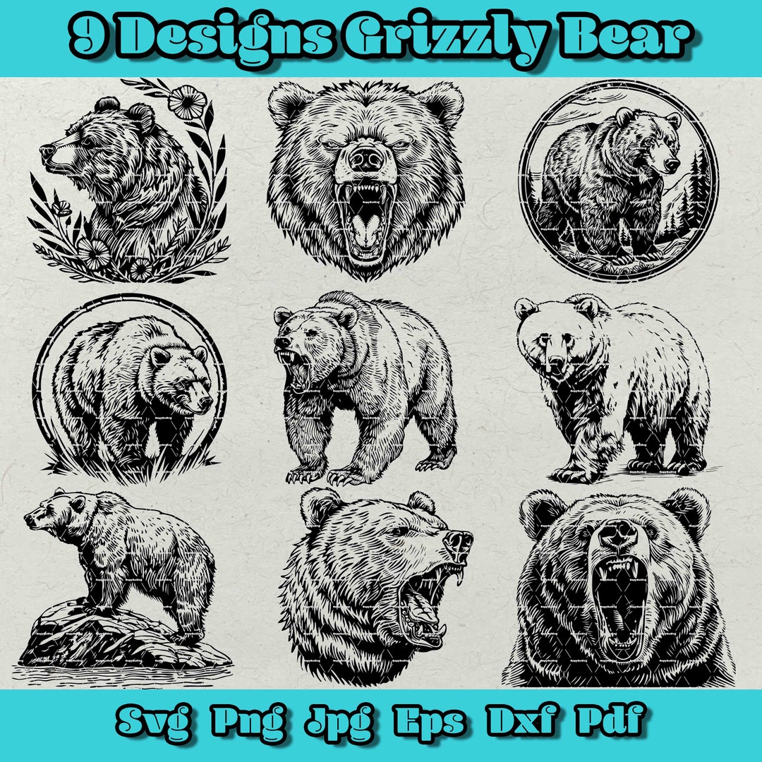 Grizzly Bear Svg Bundle, Bear Head Svg, Floral Bear Svg, Bear Paw Svg, Bear With Banner Svg ...