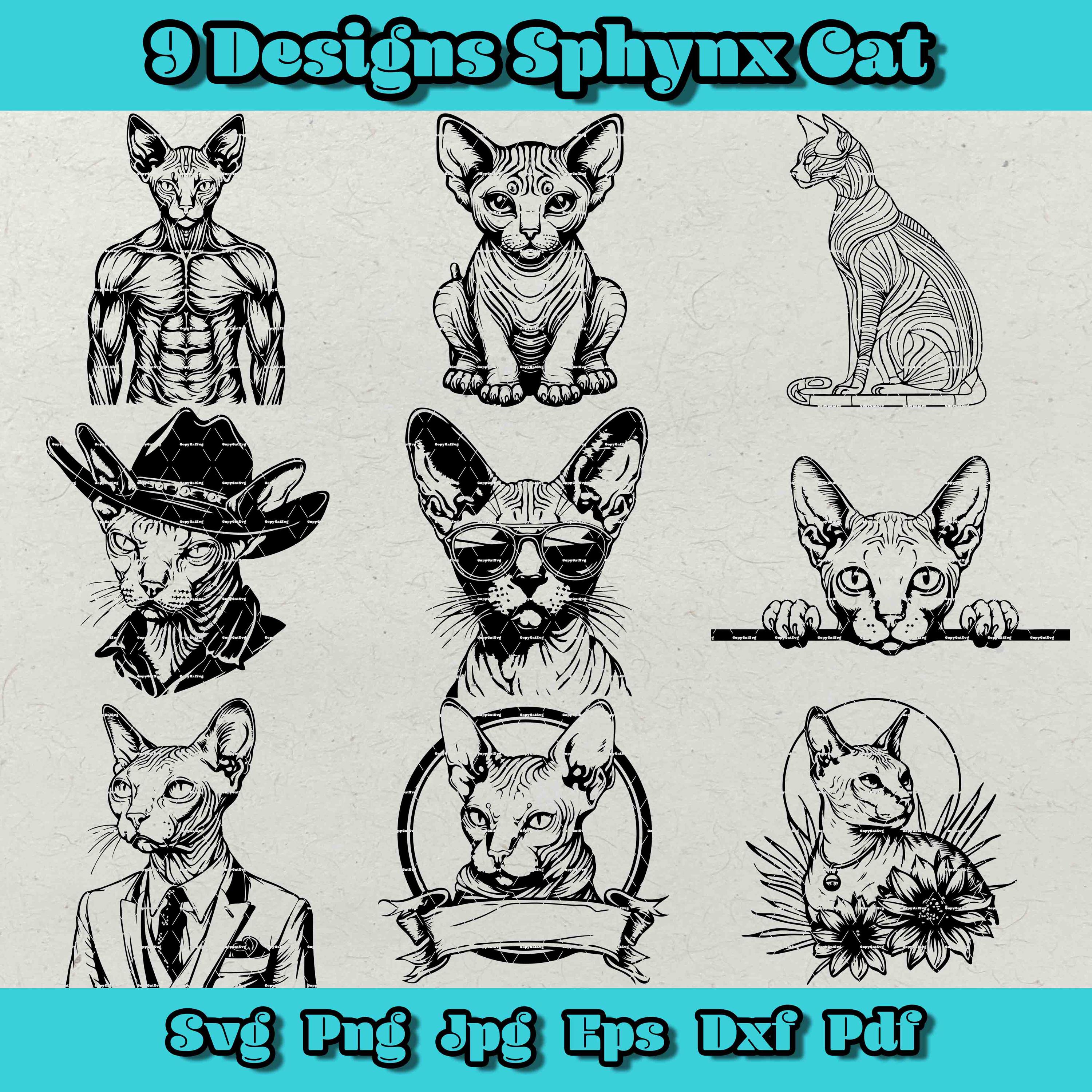 Sphynx Cat SVG Bundle: Floral, Peeking, Head Designs (digital Files) - Etsy