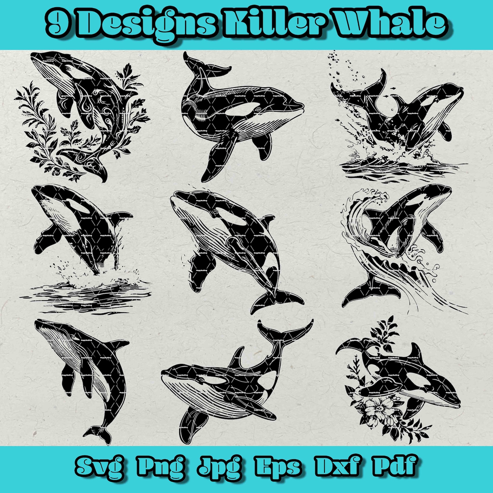 Killer Whale Svg Bundle, Whale Png, Orca Killer Whale Apex Predator Pod ...