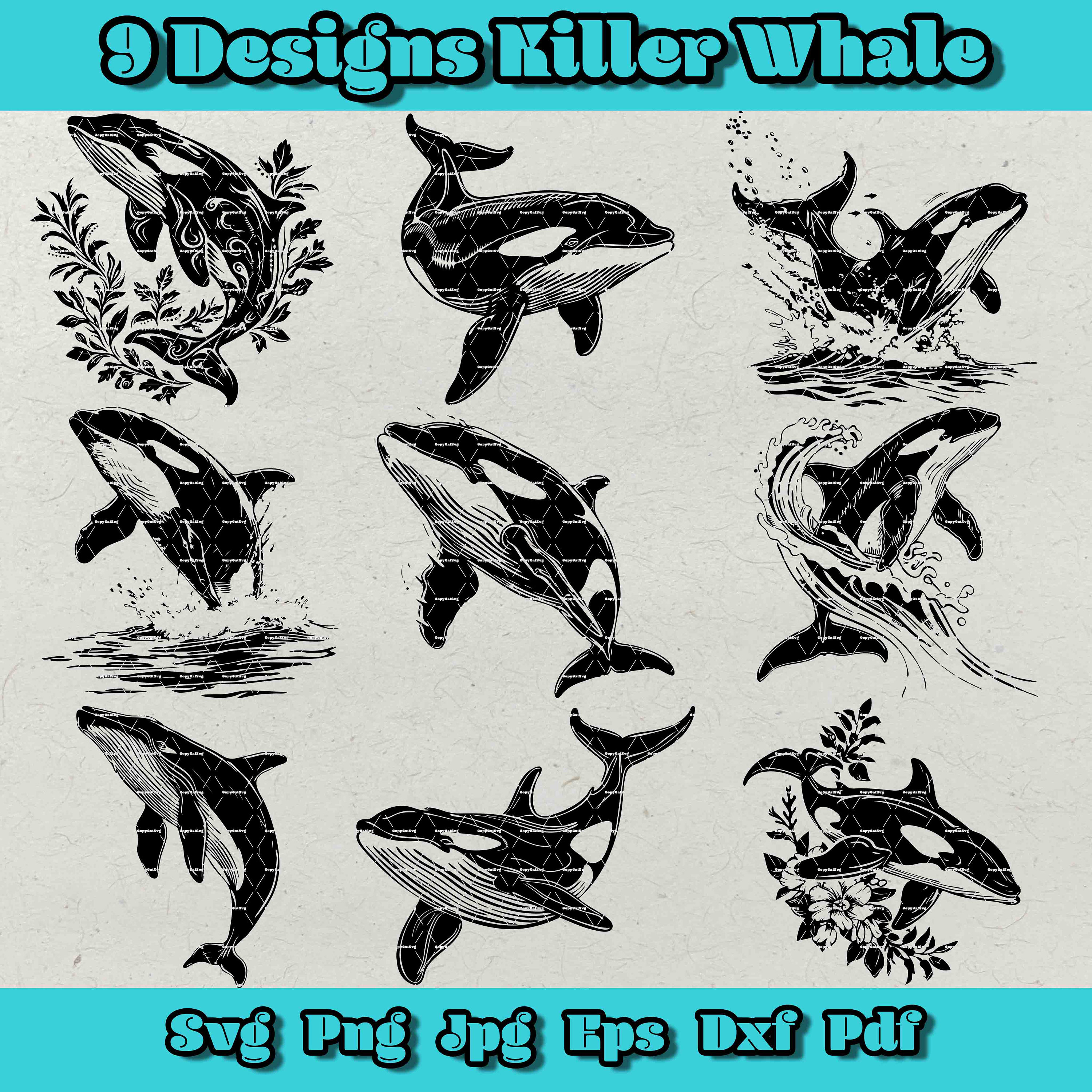 Killer Whale Svg Bundle, Whale Png, Orca Killer Whale Apex Predator Pod ...