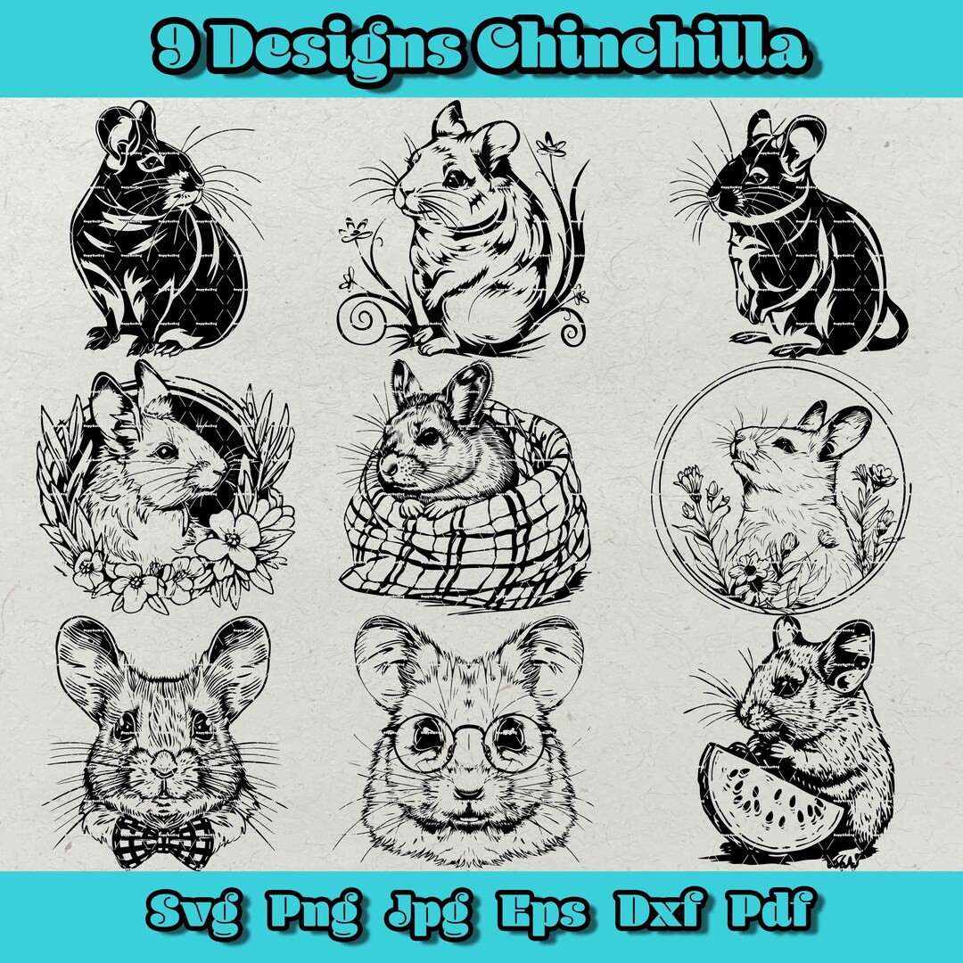 Chinchilla Svg Bundle, Floral Chinchilla Png, Chinchilla Head Svg ...