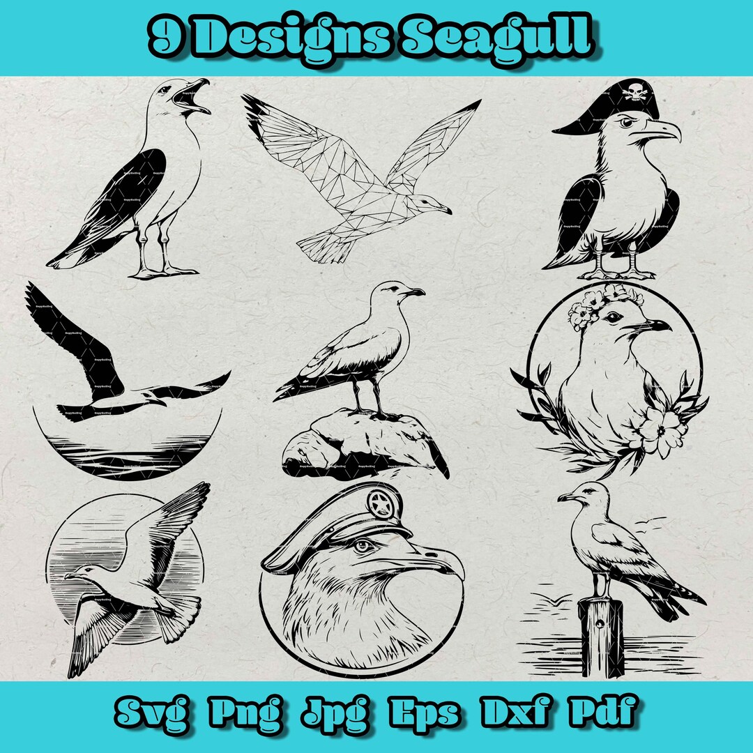 Seagull Svg Bundle, Pirate Bird Clipart, Floral Seagull Png, Nautical ...