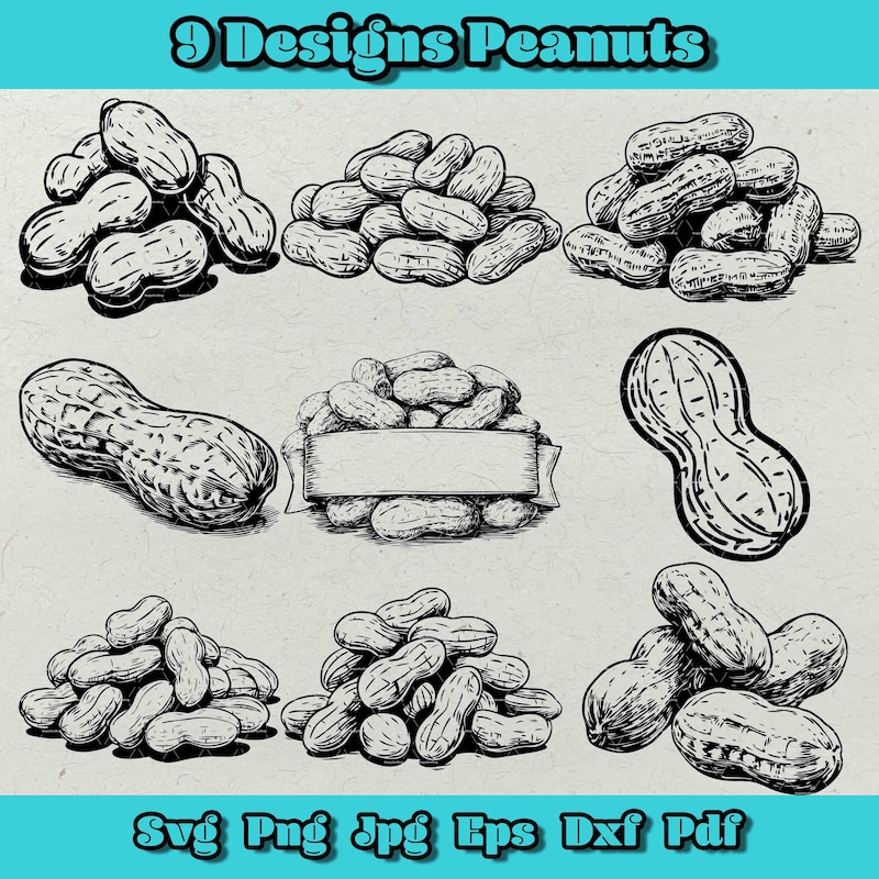 Peanut Svg - Etsy
