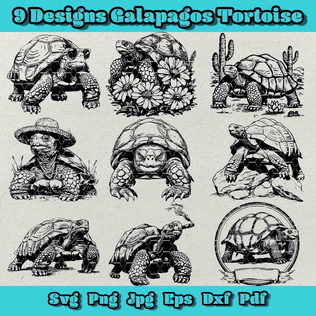 Galapagos Tortoise SVG Bundle: Wild Animal Designs (digital Files) - Etsy