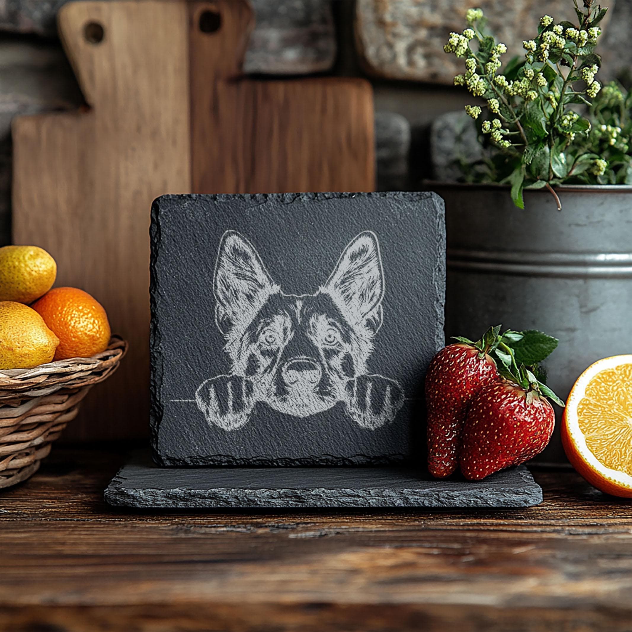 Belgian K9 Dog SVG Bundle: Police, Swat, Floral Designs (digital ...
