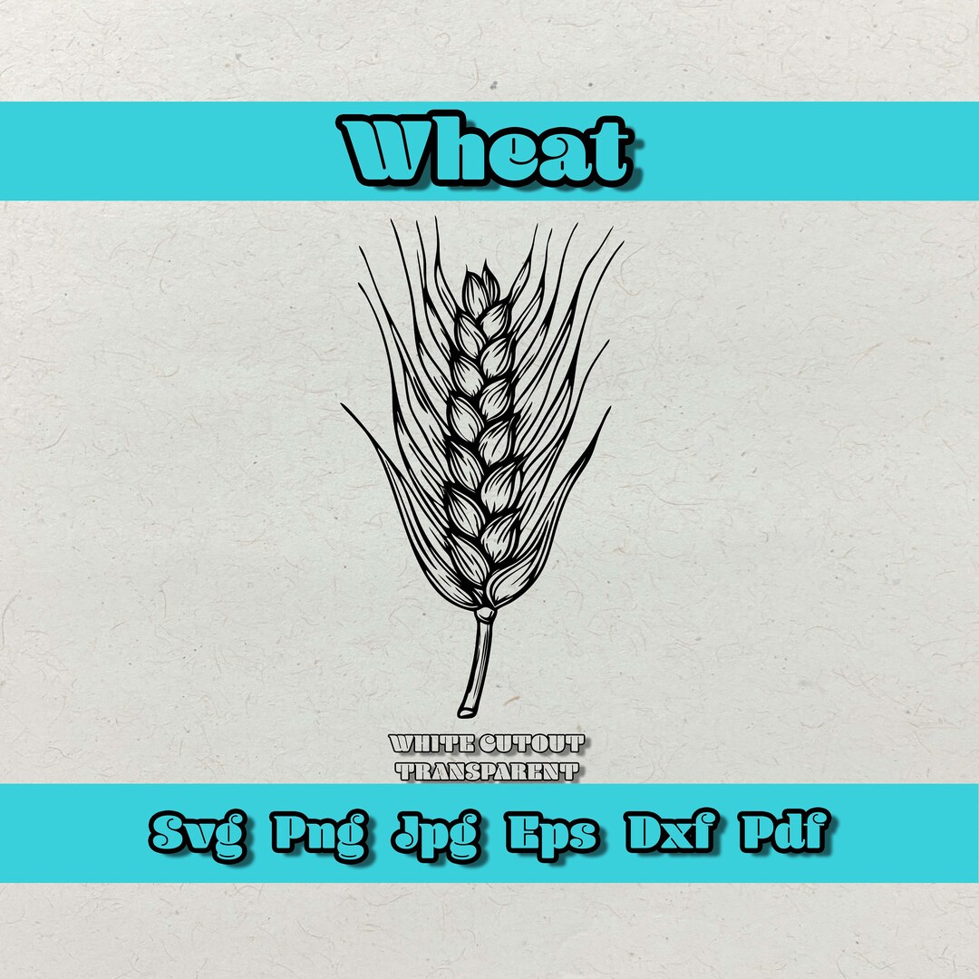 Wheat SVG, Wheat Stalk SVG, Grain Silhouette Clipart, Wheat Grass Cut ...