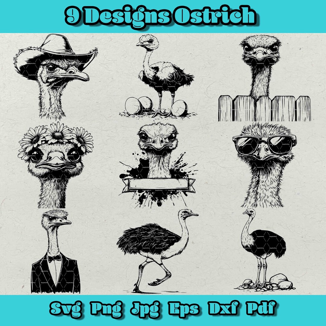 Ostrich SVG Bundle, Ostrich for Logo, Ostrich Clipart, Ostrich Vector ...