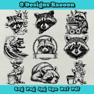 Racoon Svg Bundle, Floral Racoon Png, Peeking Racoon Dxf, Raccoon ...