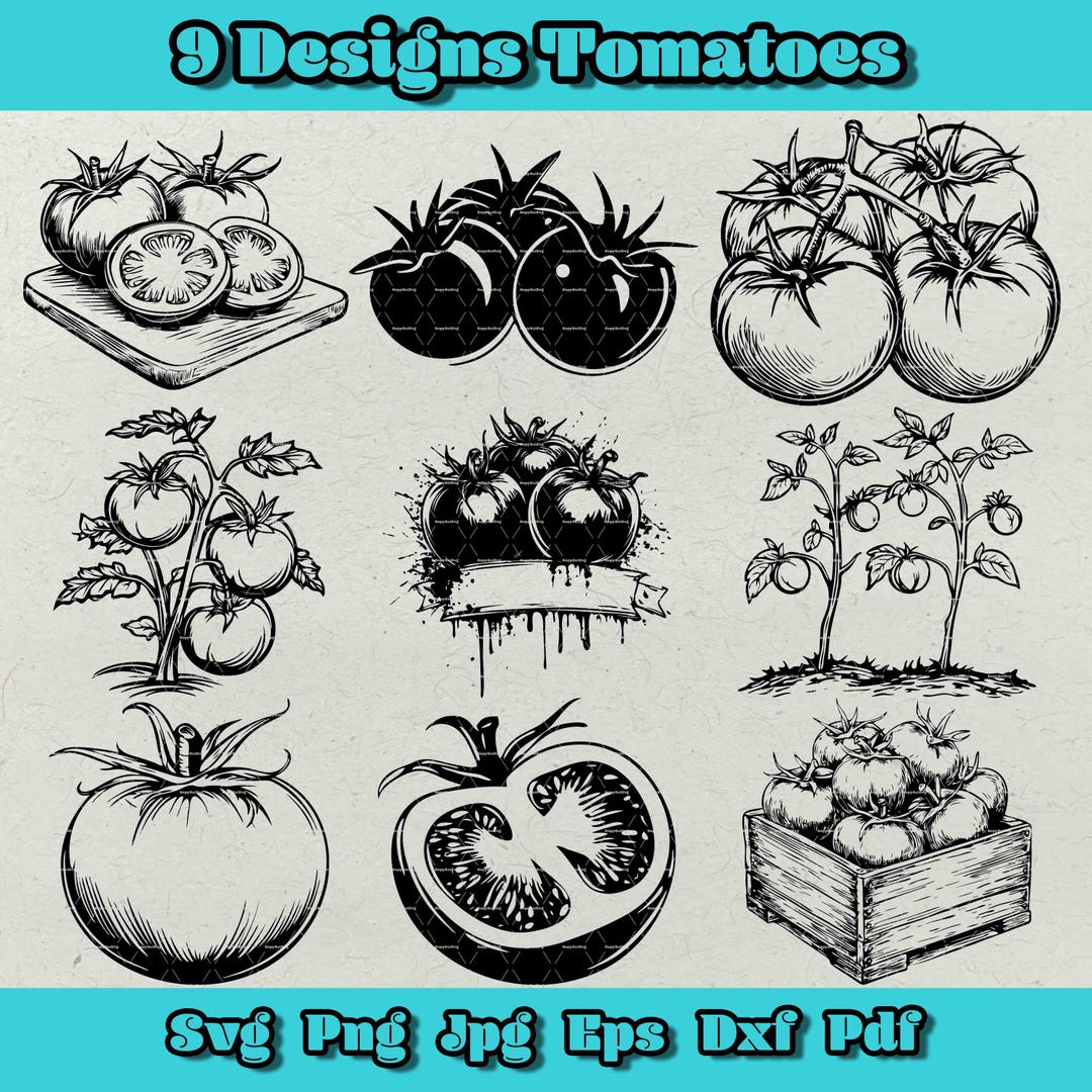 Tomatoes Svg Bundle, Farm Fresh Tomato Png, Garden Veggie Dxf, Sliced ...