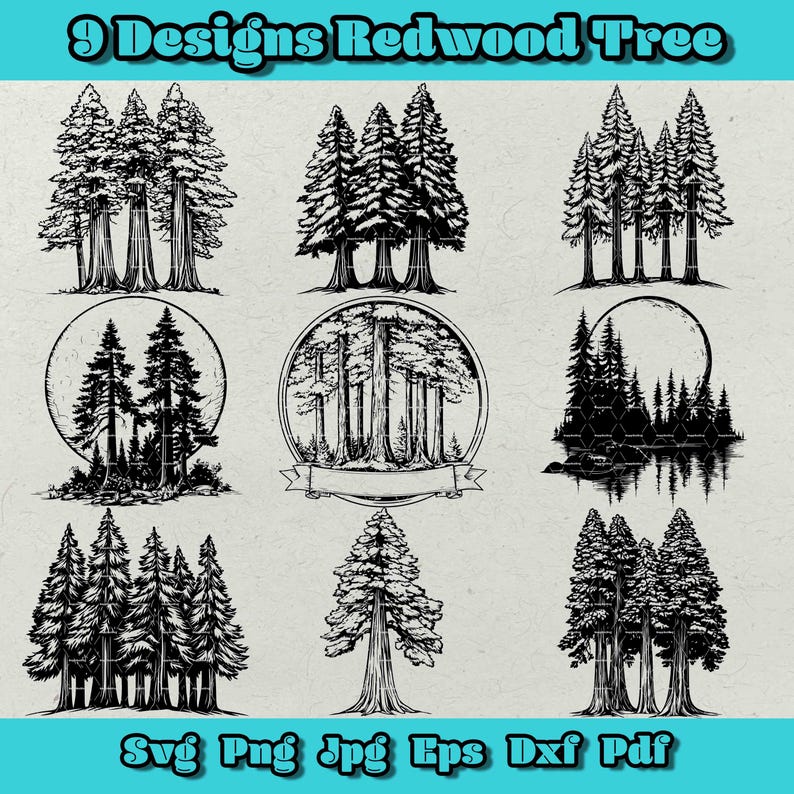 Redwood Tree SVG Bundle - 9 Unique Hand-drawn Tree Designs, Forest Art ...