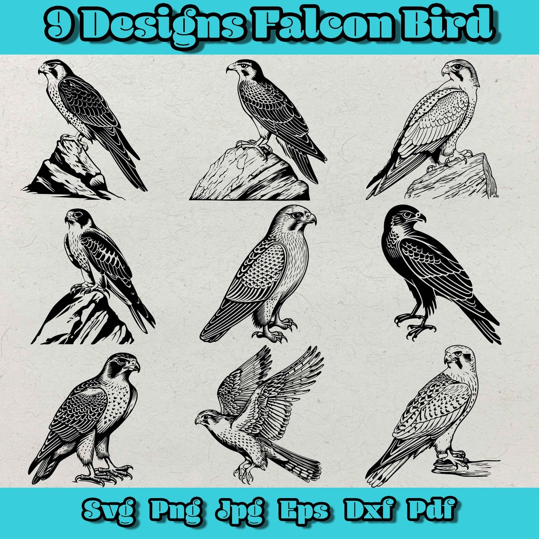 Falcon Bird Svg Bundle, Hawk Falcon Raptor Tree Bird Osprey Coaster ...