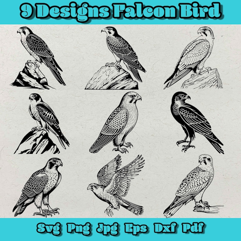 Falcon Bird Svg Bundle, Hawk Falcon Raptor Tree Bird Osprey Coaster ...