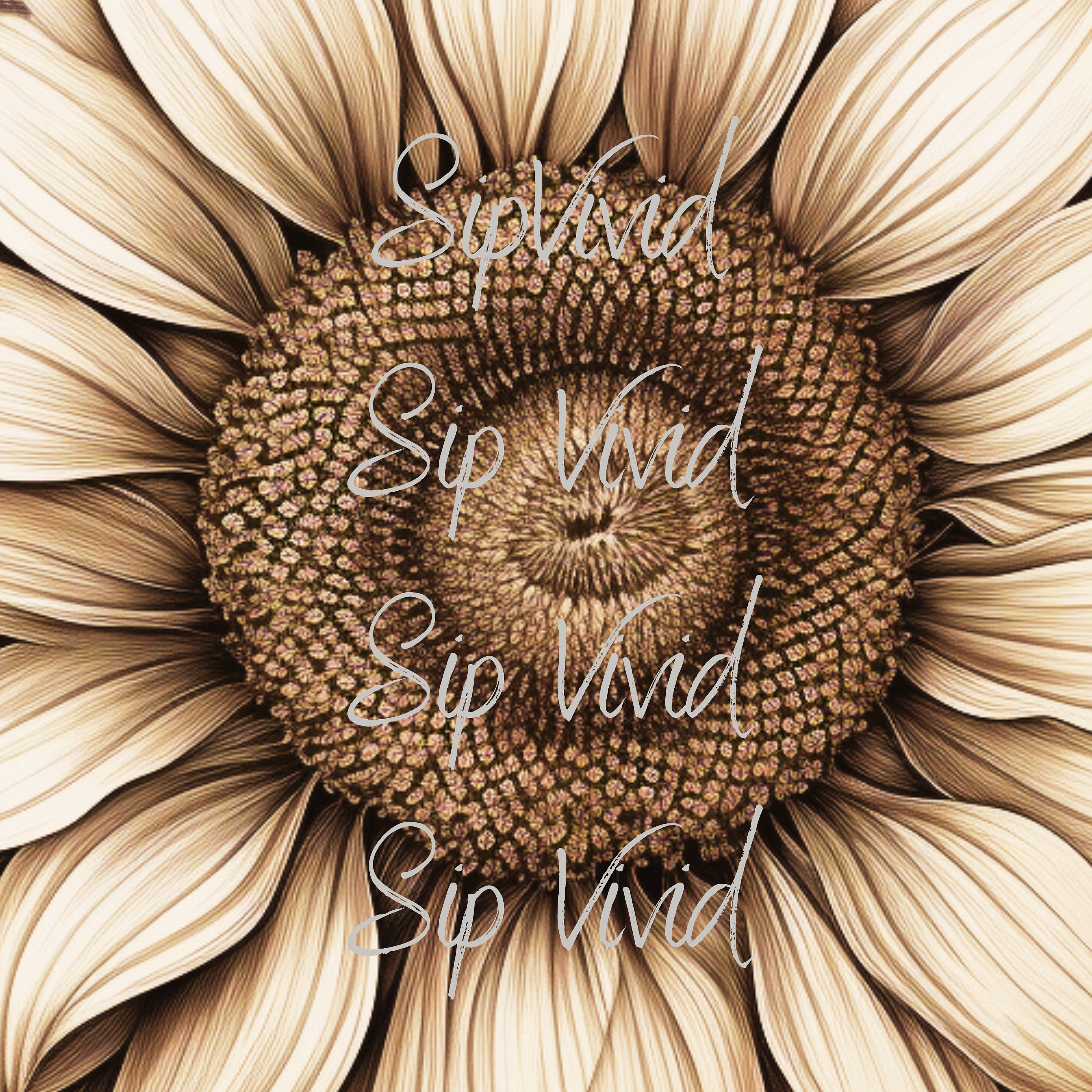 Laser Cut Files Sunflower Laser Cut Files for Lightburn Glow Forge SVG ...