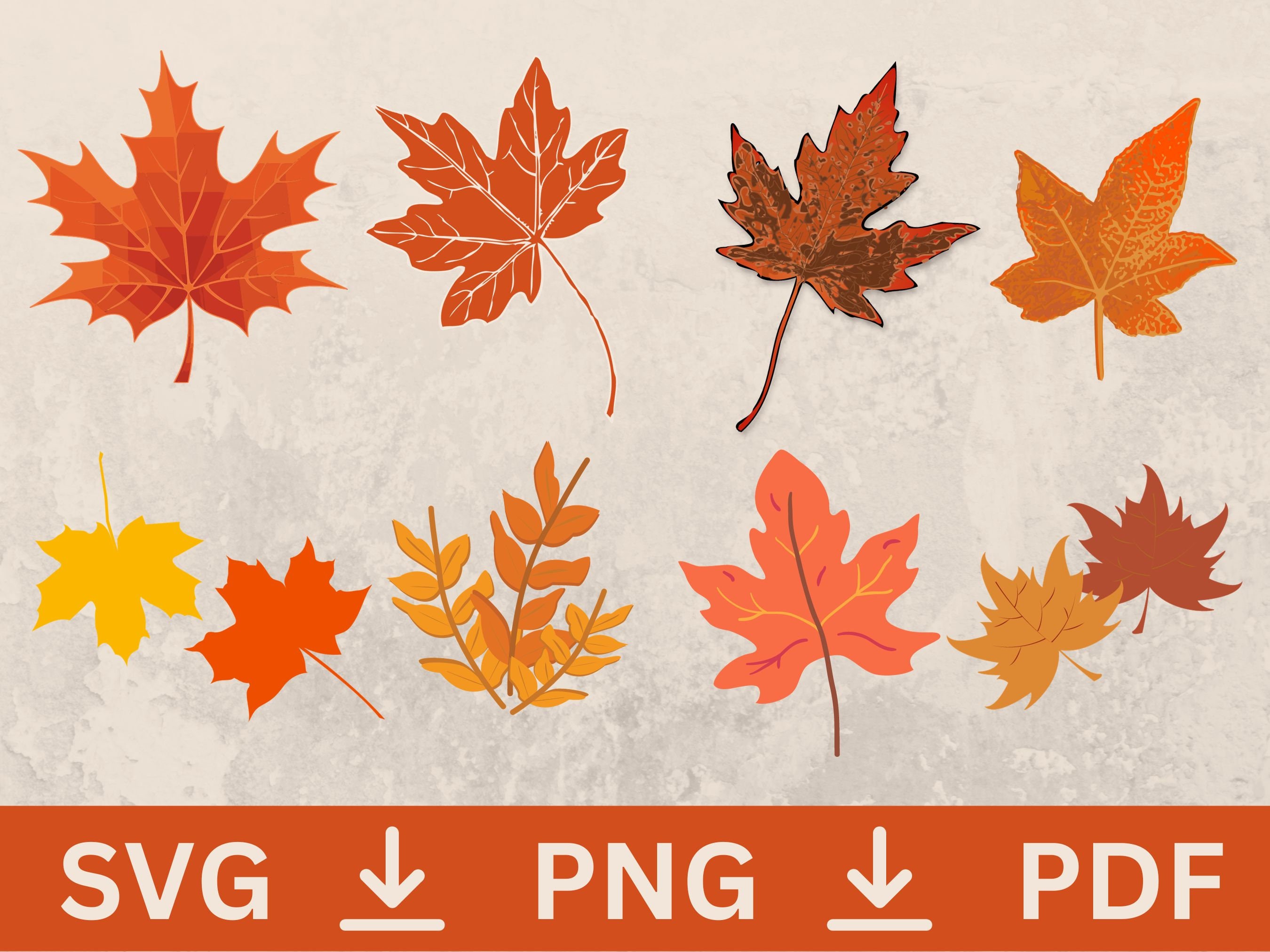 Fall SVG, Fall Svg, Fall Leaf Svg Bundle, Fall Png, Autumn Svg ...