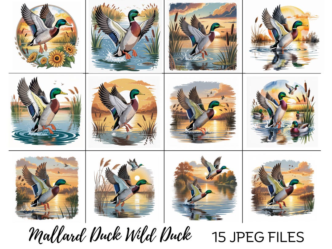 Mallard Duck Sunset Art: Rustic Wildlife Photography (digital Download ...