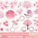 Cherry Blossom PNG Bundle: Pink Floral Clipart (PDF Download - Etsy